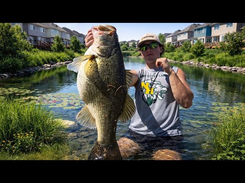 I Fished for 10lb Bass In Neighborhood Pond’s! (PB CAUGHT) 