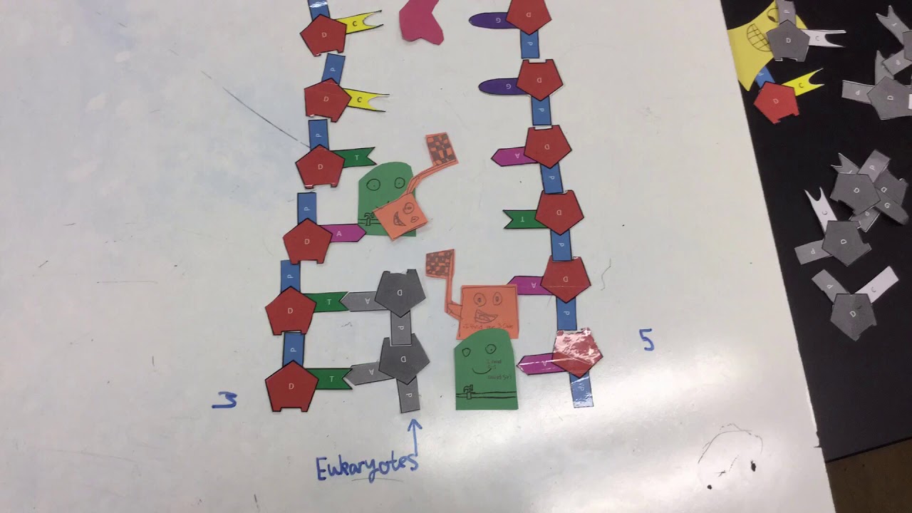 DNA Replication (School Project) - YouTube