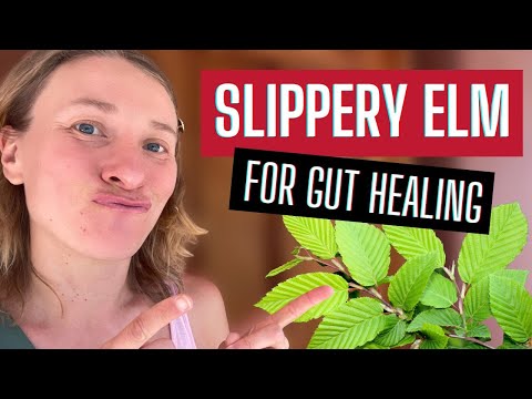 How Much Slippery Elm Powder To Take For Diarrhea