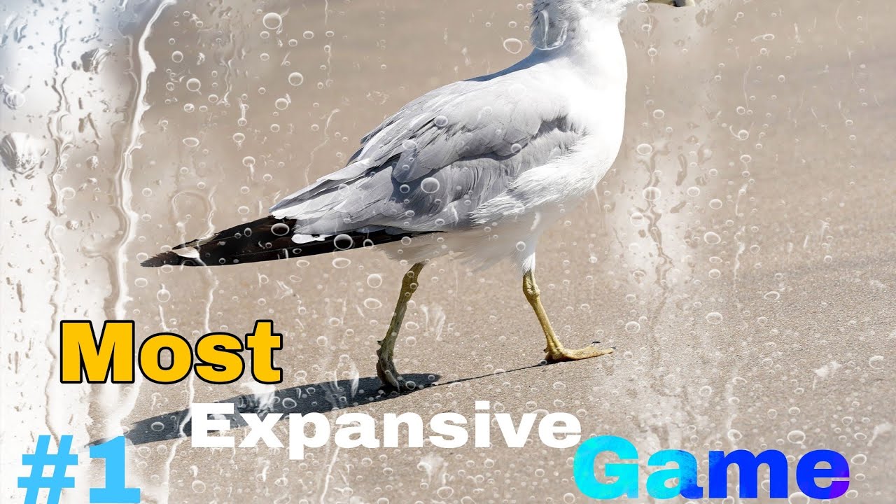 Most Expansive Game - YouTube