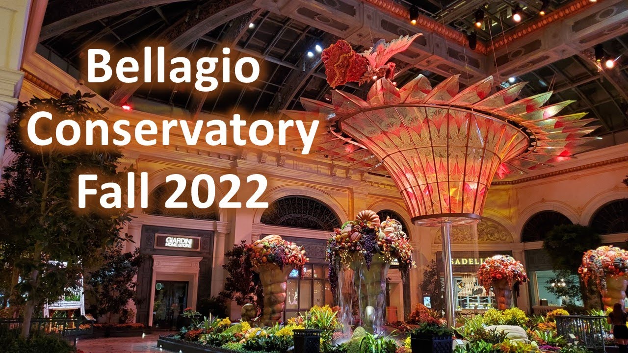 Bellagio Conservatory 2022 | Bellagio Garden Fall Display | Bellagio Las Vegas | Las Vegas 2022 ...