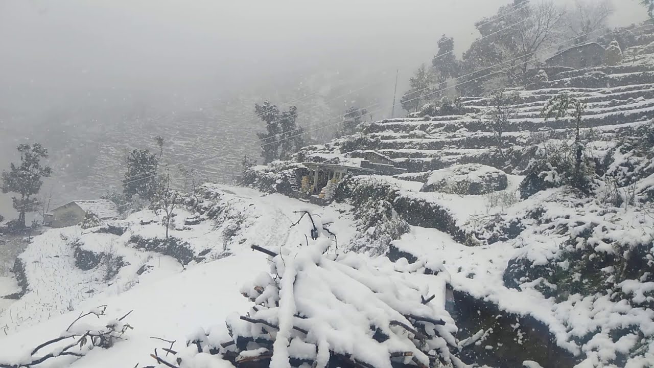 Snow falling in Nepal व्याँस गा पा मा भारी हिमपात - YouTube