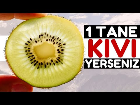 Akşamları 1 Adet Kivi Yemek Vücudunuza Bunları Yapıyor | Kivinin Faydaları Nelerdir?