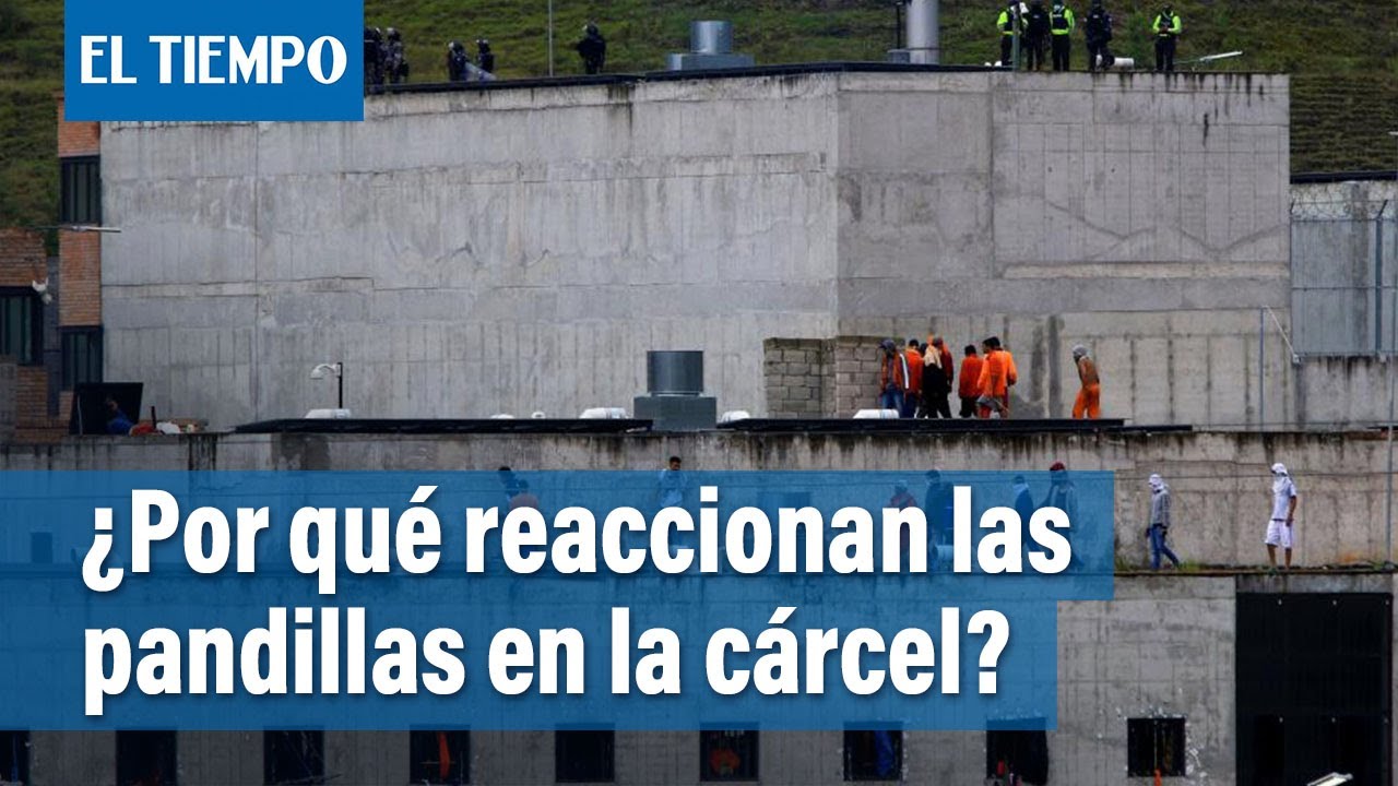 ¿Por qué reaccionan las pandillas en las cárceles de Ecuador? | El ...