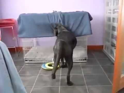 Пошел спать