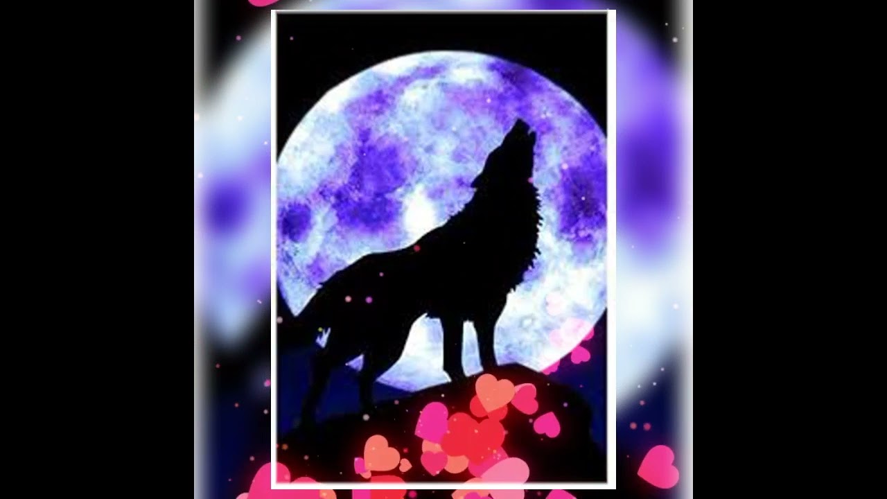 Isnog Gonsi - Verletzter Wolf - YouTube