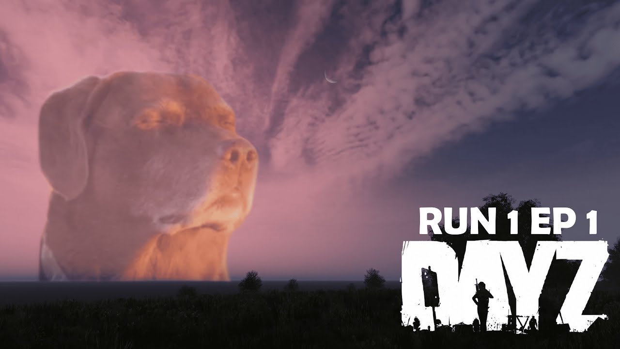 Playing DayZ solo FIRST RUN! | EP1 - YouTube