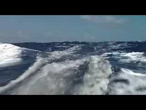 Morning Light [2008] - Movie Trailer - YouTube