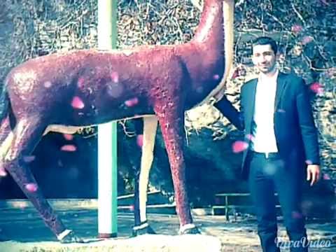 Qizim ve men