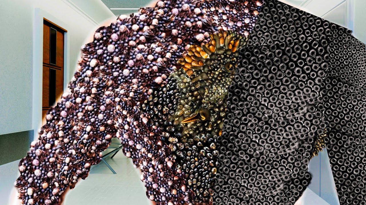 ASMR removal scorpion & black trypophobia infected chest | ASMR chest ...