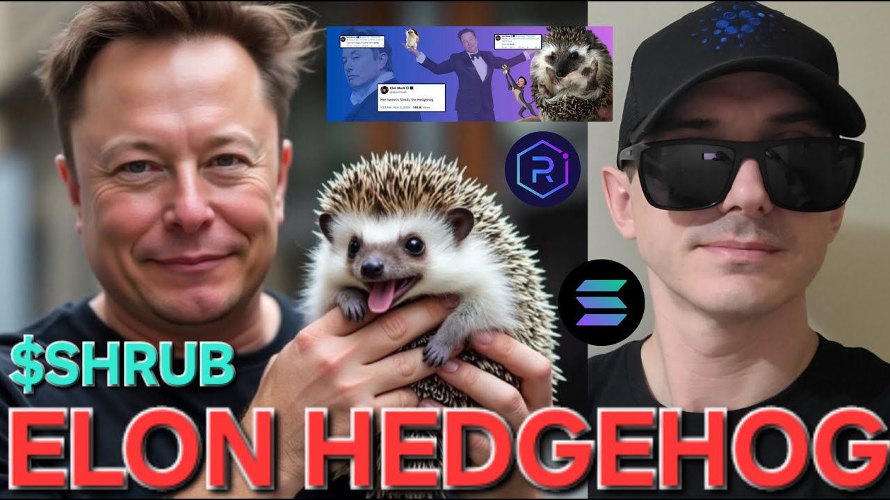 $SHRUB - ELON HEDGEHOG TOKEN CRYPTO COIN HOW TO BUY SHRUB MUSK TESLA ...