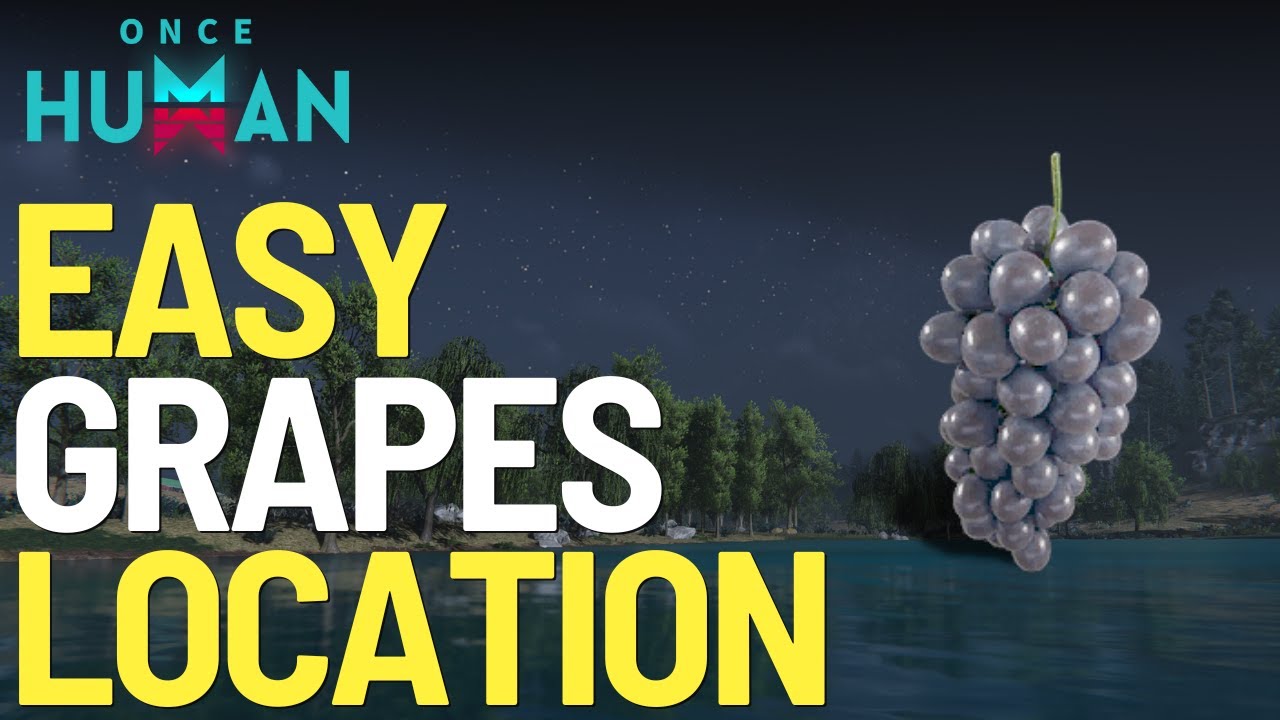 Easy Grapes Location in Once Human - YouTube