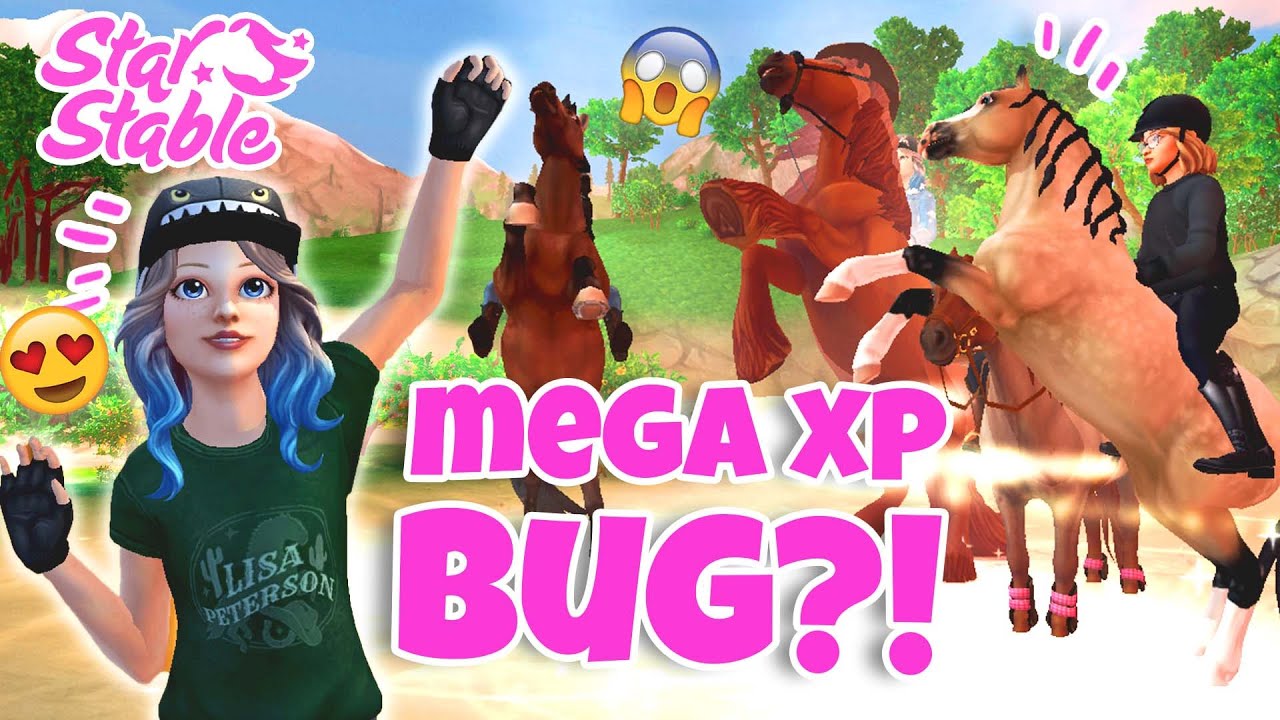 8 PAARDEN UIT IN 20 MINUTEN UITTRAINEN? HOE DAN | SSO (nl) | wolfxjessy ...