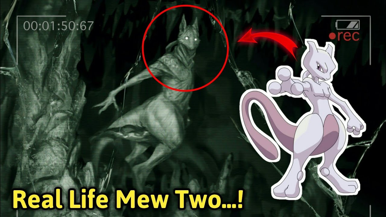 Pokemon In Real Life 2020 Real Life Pokemon Hindi Pokemon World Vs Human World Youtube