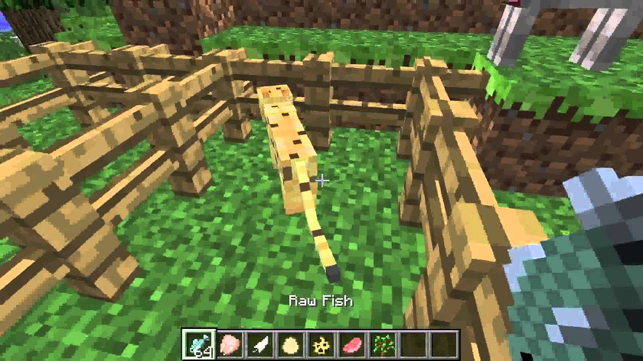 How to tame wolves and ocelots in Minecraft - YouTube