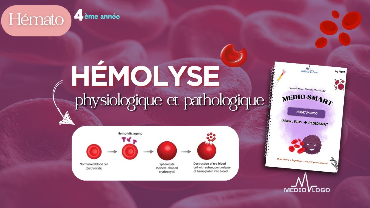 #hémato - Hémolyse (physiologique & pathologique) - YouTube