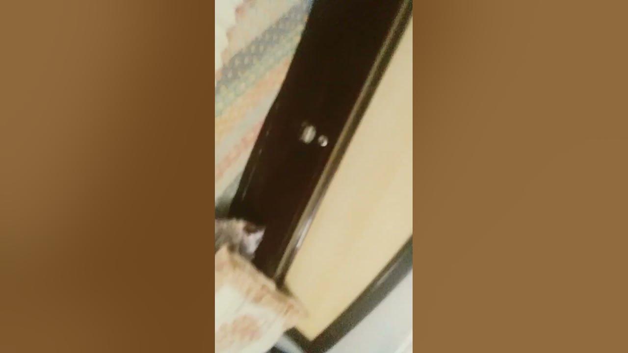 April 14 2023 YouTube april-14-2023-youtube