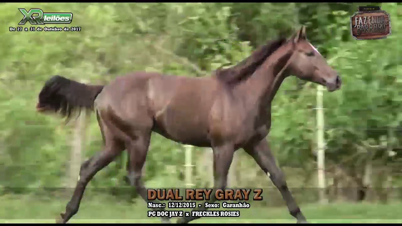 LOTE 09 DUAL REY GRAY Z - YouTube