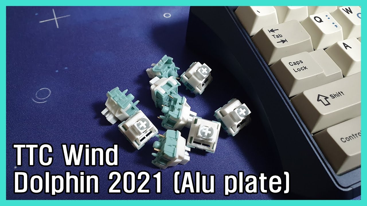 Dolphin 2021 TTC Wind / 돌고래 2021 TTC Wind 스위치 - YouTube