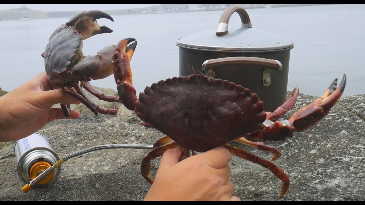 Crab Catch and Cook - Crab Boil on the Rock with Zatarain - YouTube