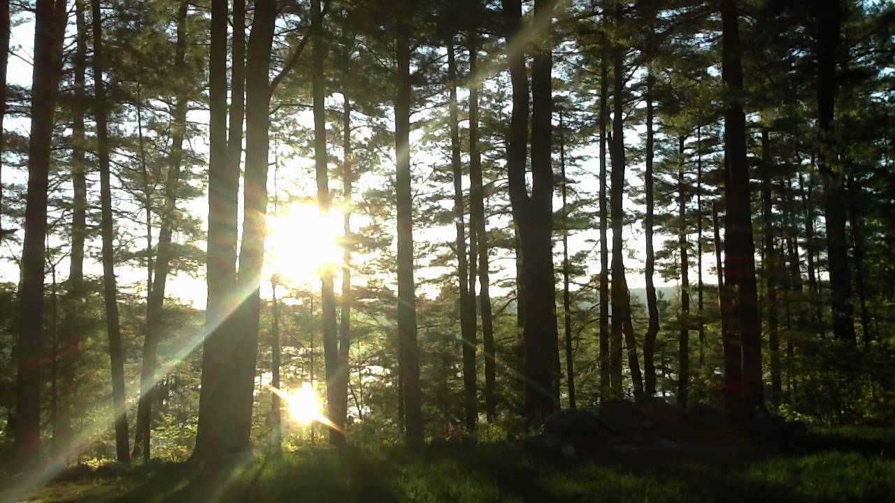 Sunrise over Pleasant Lake - YouTube