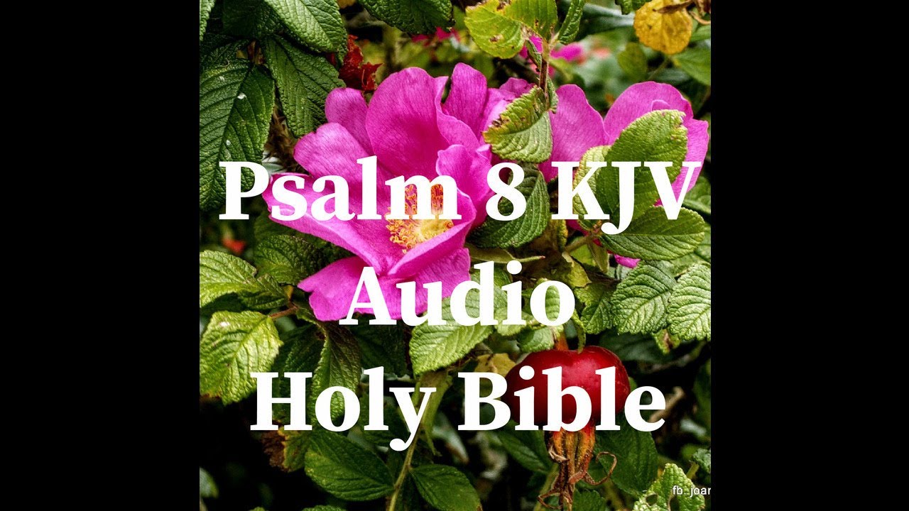 Psalm 8 KJV Holy Bible Audio - YouTube