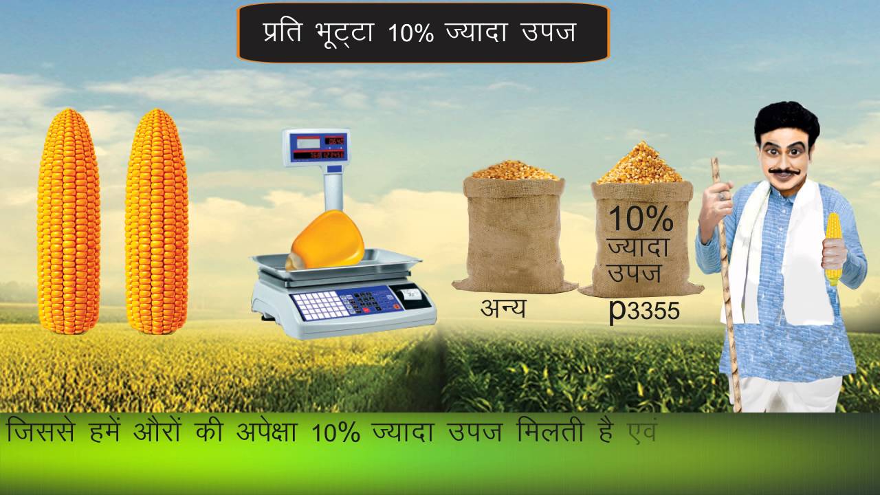 Pioneer P 3355 new - YouTube