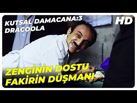 Sebo, Organ Mafyasının Eline Düştü | Kutsal Damacana Dracoola