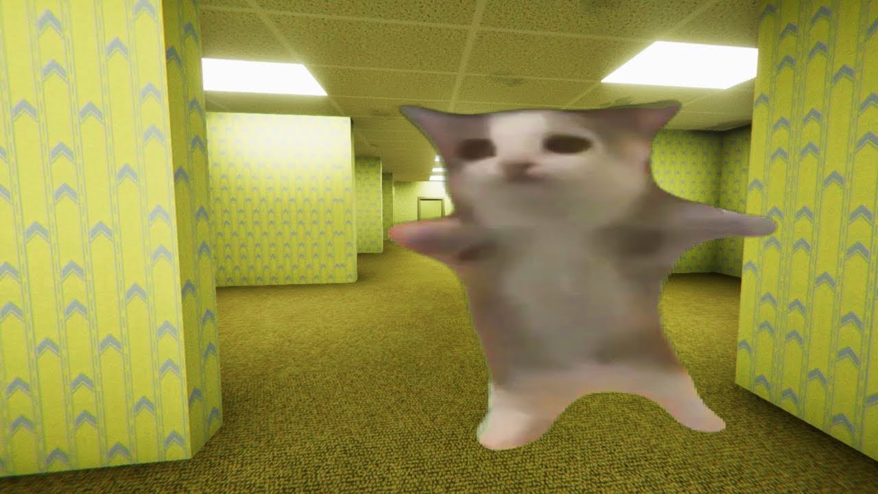 Happy Happy Happy Cat Meme In Famous Places Youtube