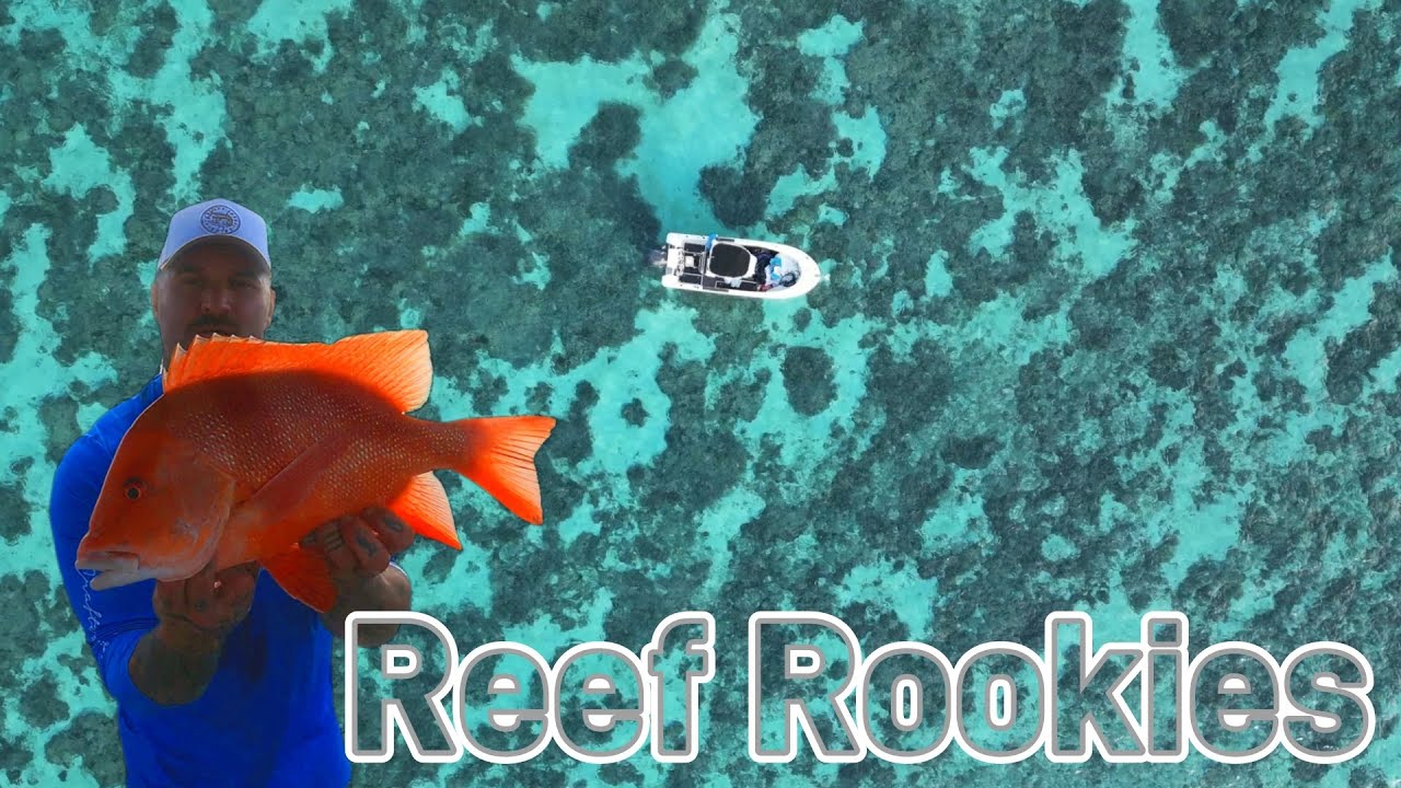 REEF ROOKIES. Our first ever trip to the reef! - YouTube