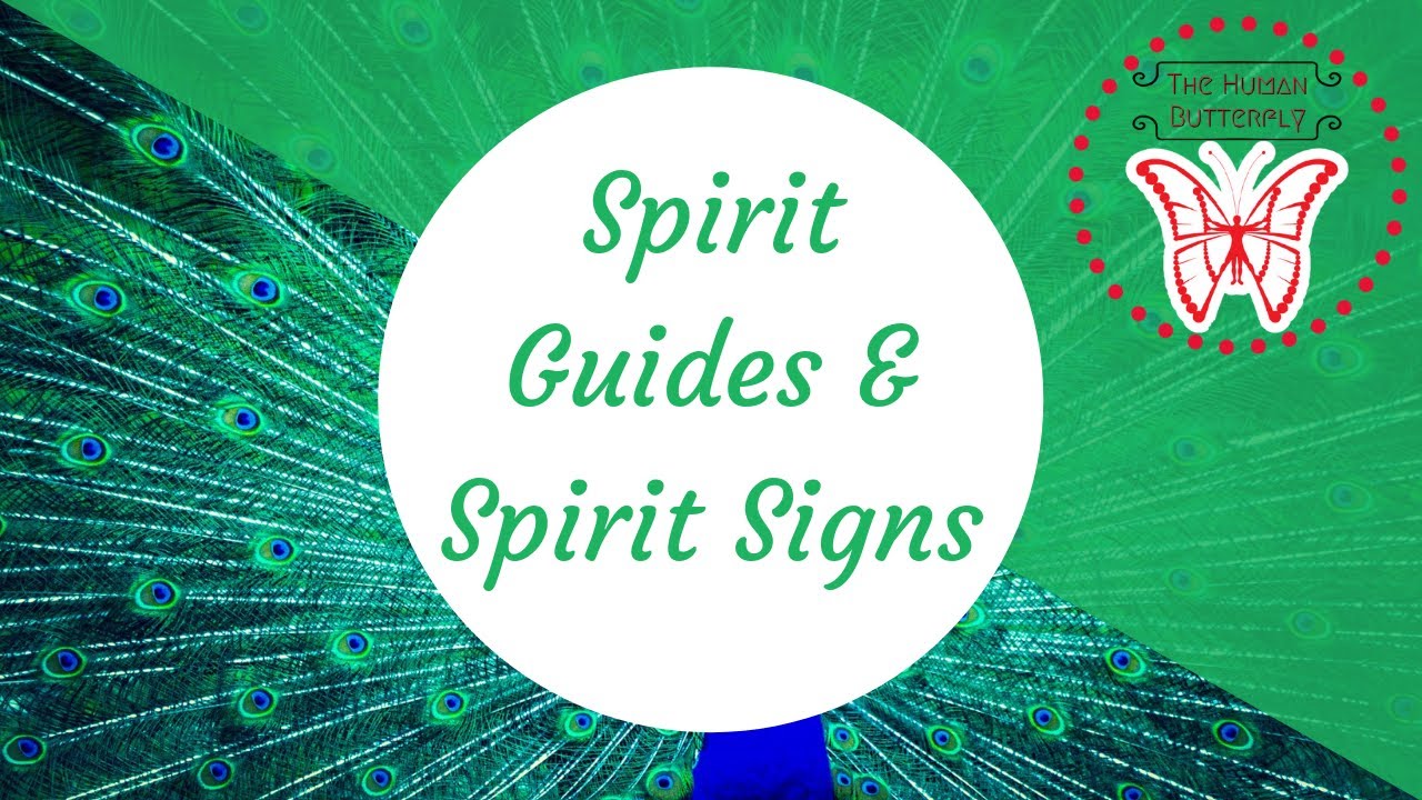 Spirit Guides & Spirit Signs - YouTube