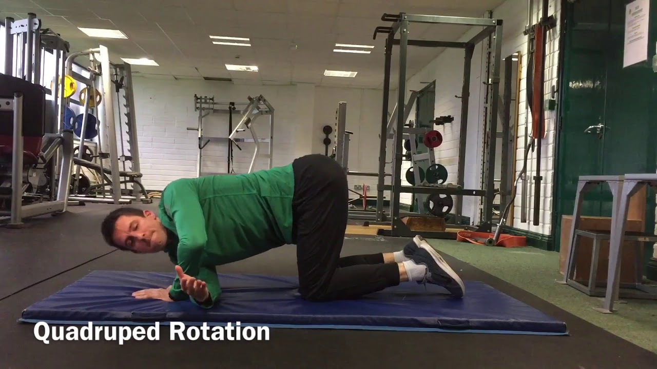 Quadruped Rotation - YouTube