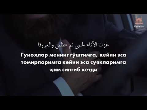 Siz izlayotgan va trendda bo'lgan nashida tarjimasi bilan!