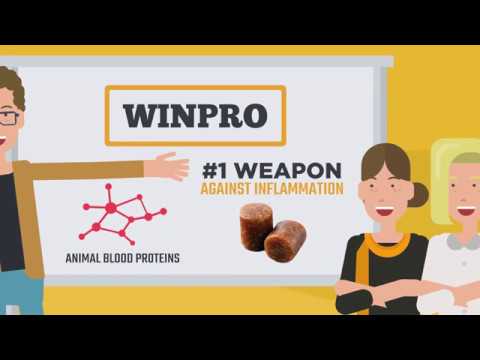 WINPRO Animation - What is WINPRO and how does it work? - YouTube