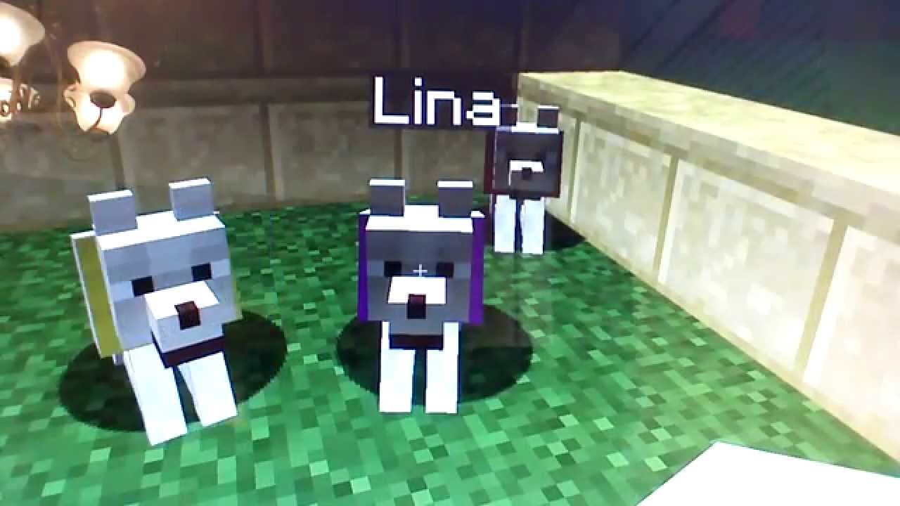 My Minecraft Wolf Texture Pack Review! | BeaglePuppyStar - YouTube