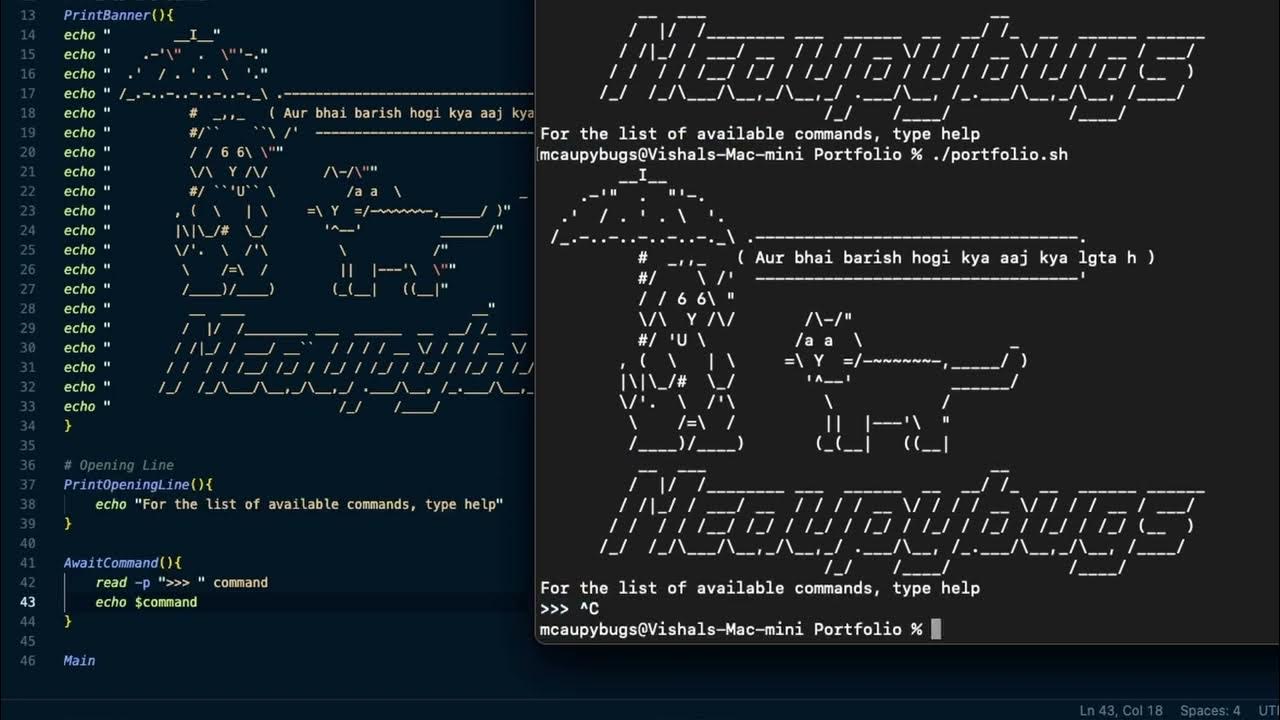 Terminal Portfolio Project : Coding a terminal portfolio project - YouTube