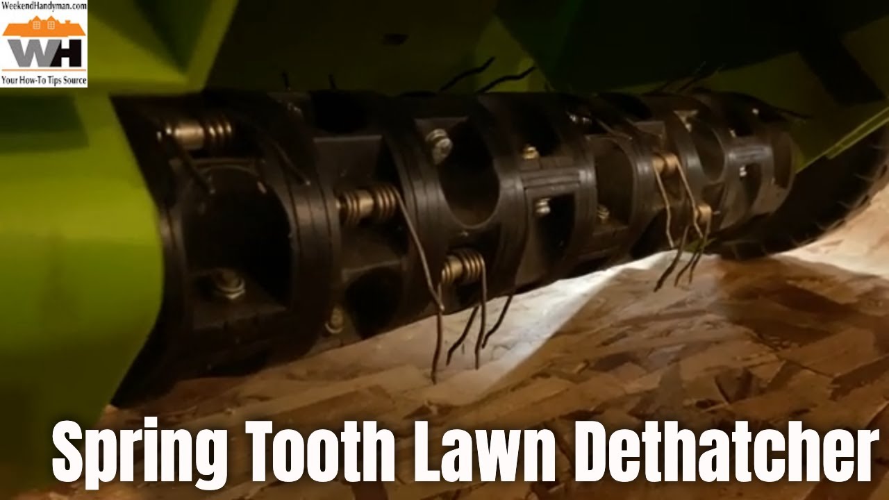 Spring Cleanup Is Much Easier with a Power Dethatcher And Must Have For ...