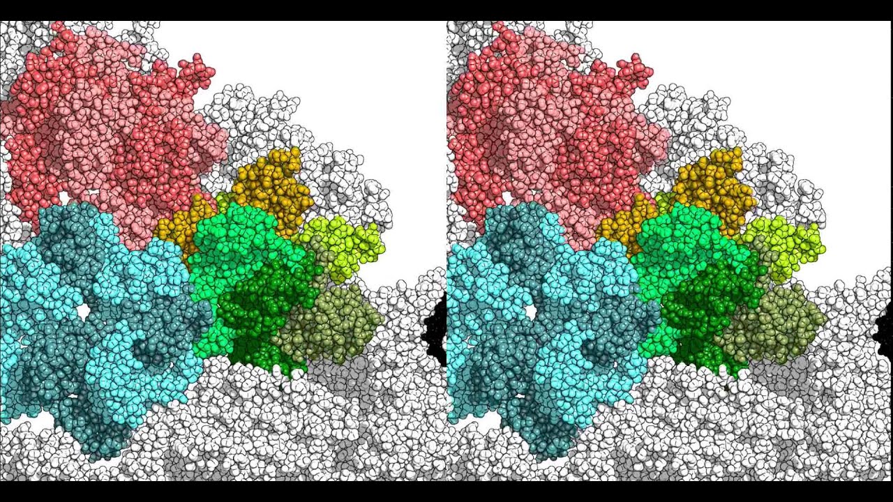 Bioexplore - HIV capsid - Hexamers and Pentamers - YouTube