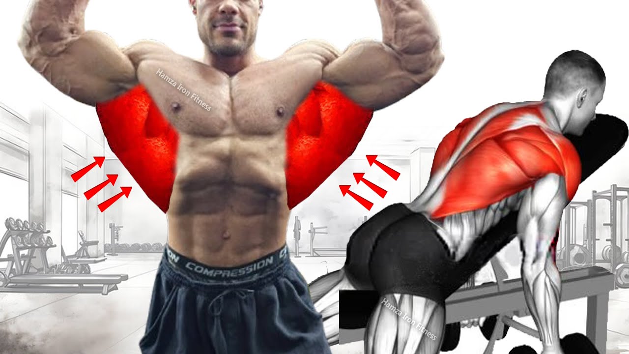 7 Effective Exercises To Build A 3D Back - Stronger And Wider Back ...