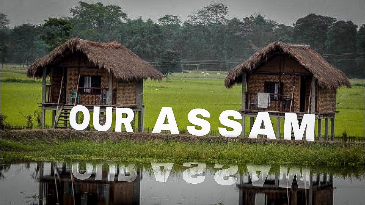 view of our Assam ️😍4k video for status - YouTube
