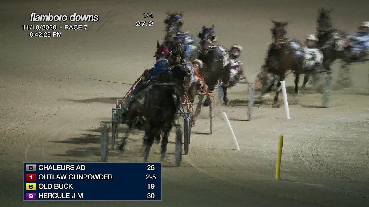 NOV 10,2020-RACE 7-FLAMBORO DOWNS - YouTube