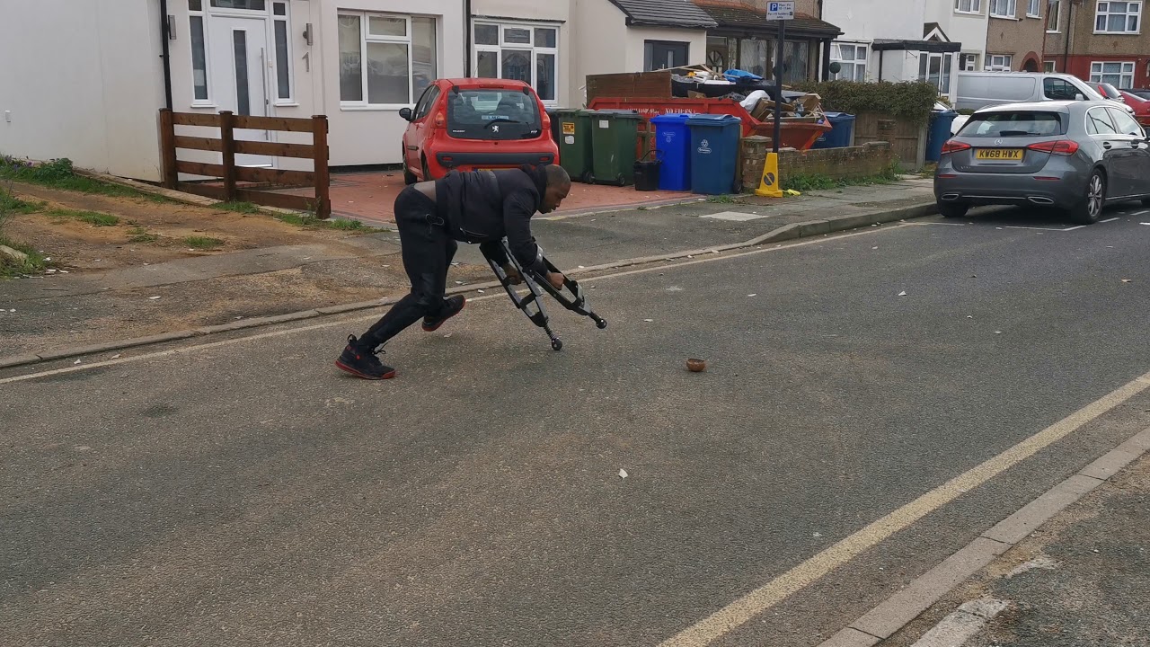 Animal/Creature Curiousity For Animation Reference - YouTube