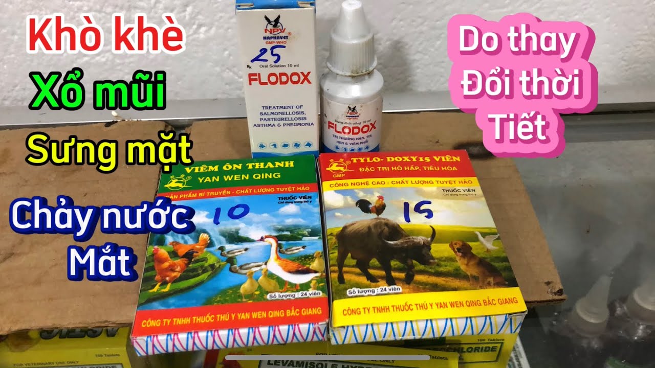 FLODOX + viêm ôn thanh + Tylo Doxy 👉 Chuyên trị bệnh ⚡️ Hô hấp 👉 trên ...