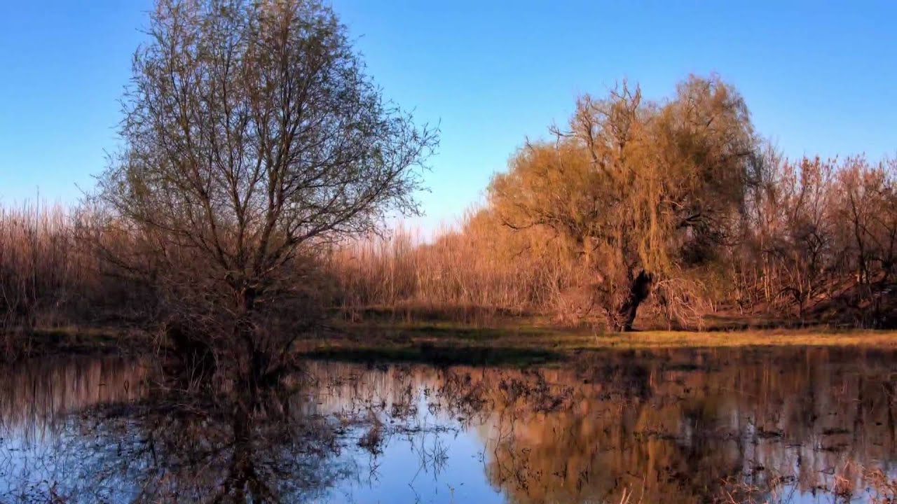 Nature Photo Slideshow - YouTube