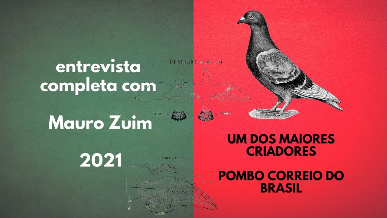 Papo de Pombal com Mauro Zuim - YouTube
