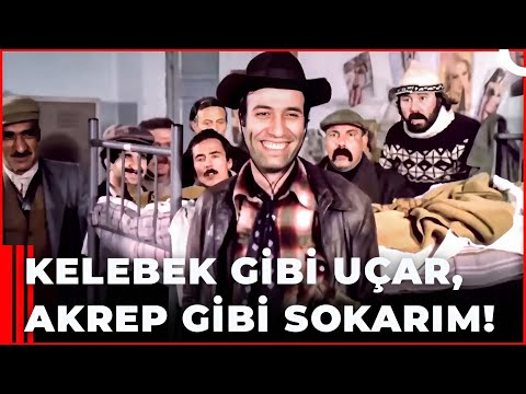 Tek Bir Umut Var; O Da Şaban! 😁 | Kemal Sunal Filmleri
