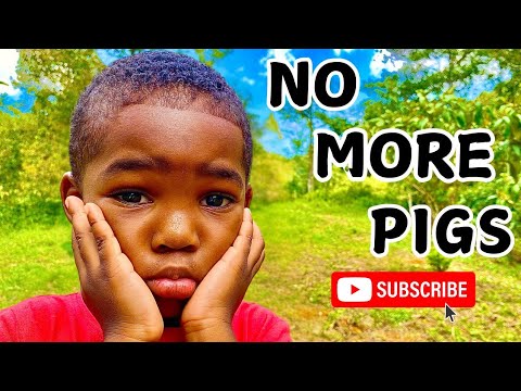 He’s Upset Because There's No More Pigs🐖@TheGreensFamily2020 - YouTube