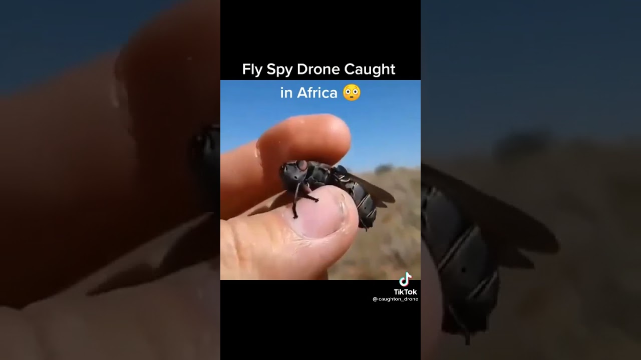 Fly Spy Drone Caught In Africa - YouTube