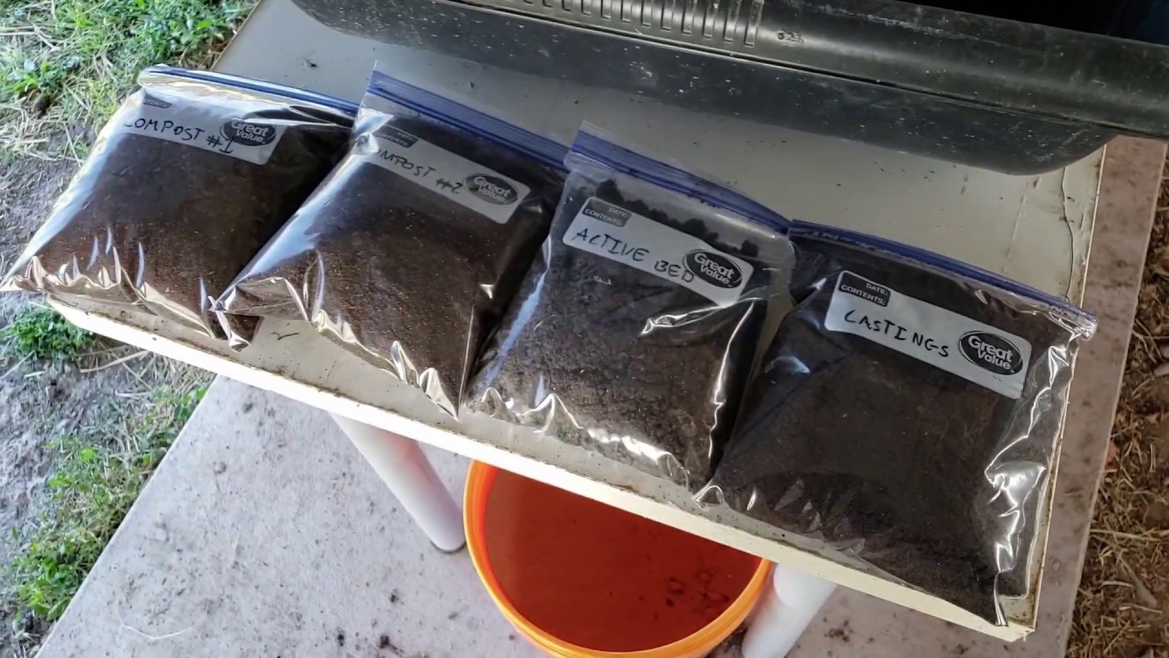 Figuring out why our worms are dying - Analyzing the worm bed - Part 3 ...