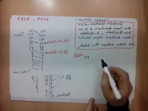 ebob ekok 1 tanımı işlevi özellikleri örnekler YGS LYS DGS TEOG KPSS ALES
